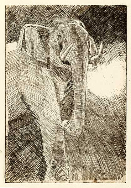 Elephant Prints – Estrella Vega Art